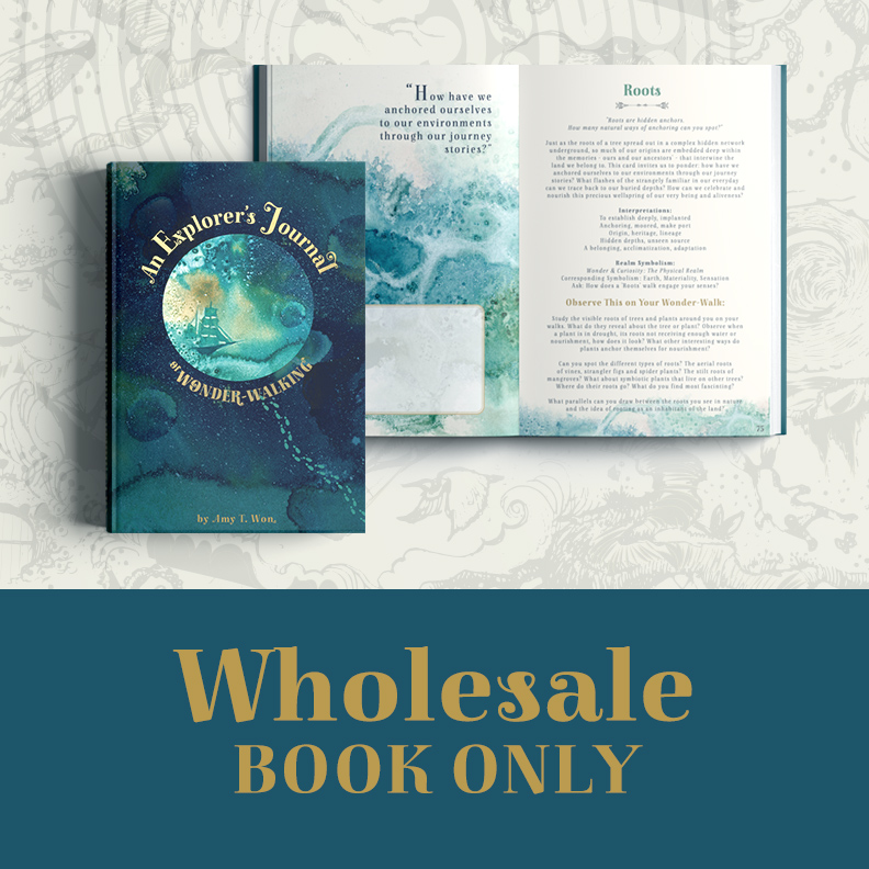 “An Explorer’s Journal” Wholesale Book Bundle | The Art of Amy T. Won